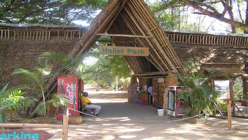 Kenya Excursions - Africa Veterans Safaris