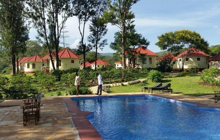 HHANDO COFFEE LODGE - Africa Veterans Safaris