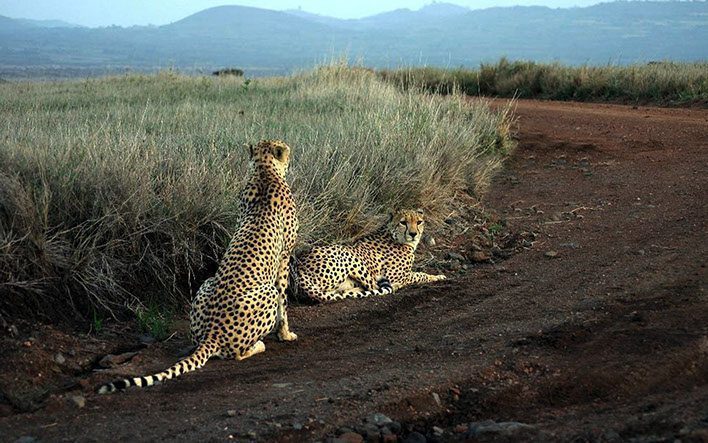 MARSABIT NATIONAL PARK - Africa Veterans Safaris